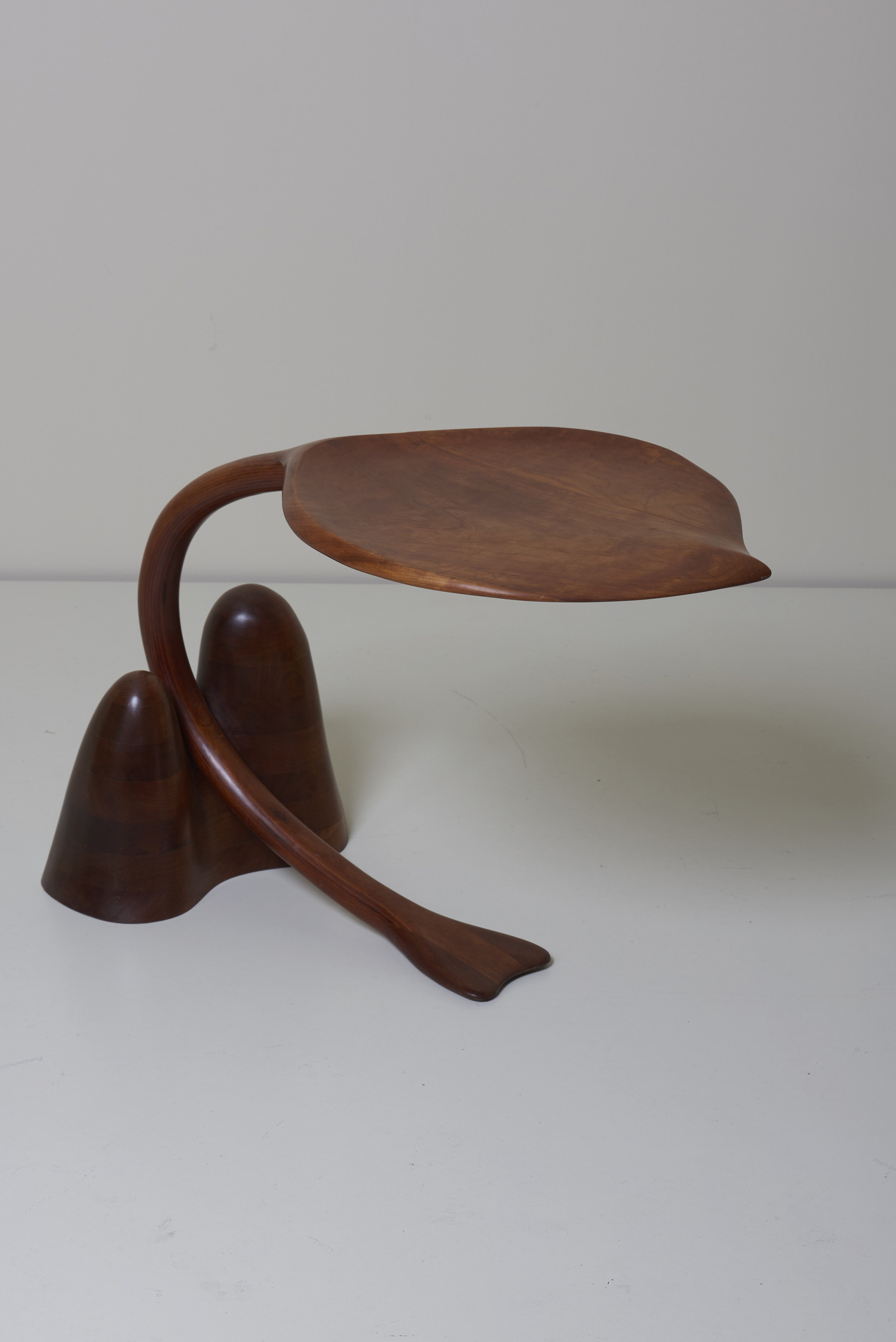 Studio Side Table in Leaf Shape